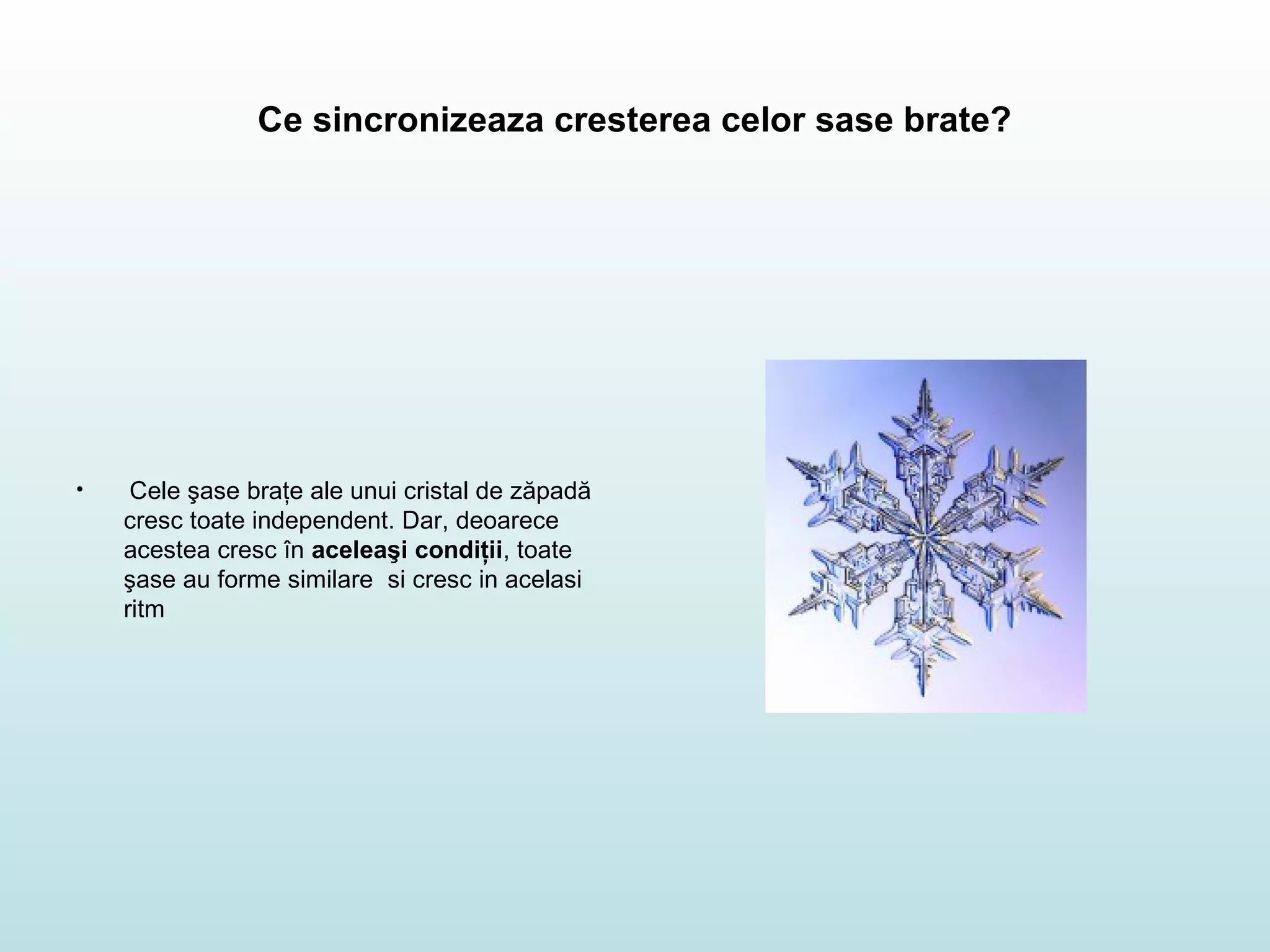 Povestea fulgilor de nea | PPT