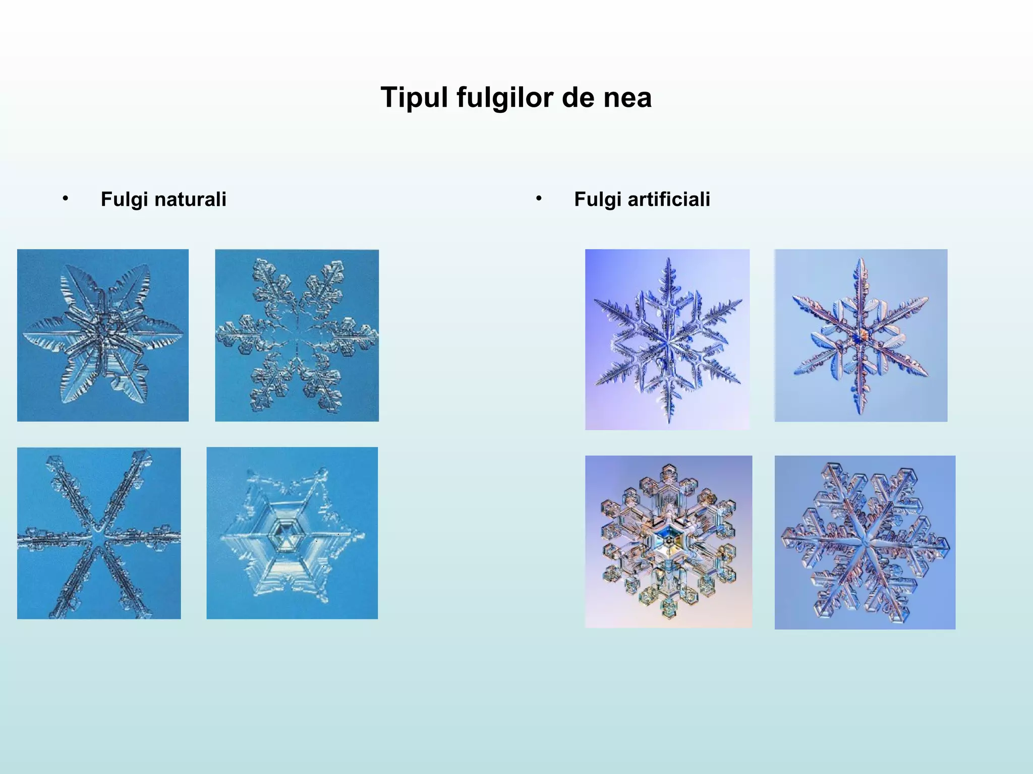 Povestea fulgilor de nea | PPT