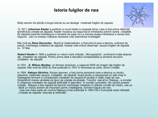 Povestea fulgilor de nea | PPT