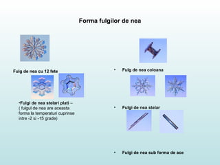 Povestea fulgilor de nea | PPT