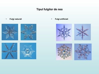 Povestea fulgilor de nea | PPT