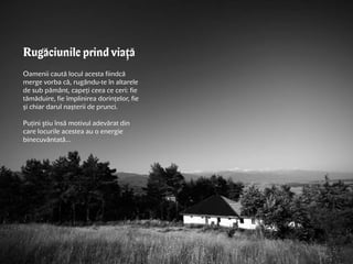 Povestile de la Sinca Veche | PPT
