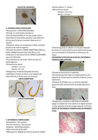 Guia de supervivencia teorico practico de parasitologia | PDF