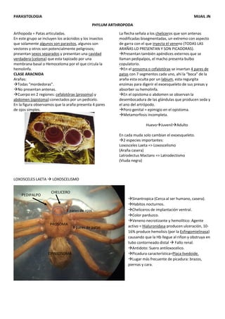 Guia de supervivencia teorico practico de parasitologia | PDF