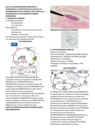 Guia de supervivencia teorico practico de parasitologia | PDF