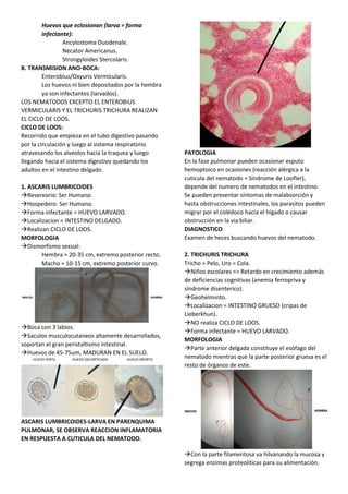 Guia de supervivencia teorico practico de parasitologia | PDF