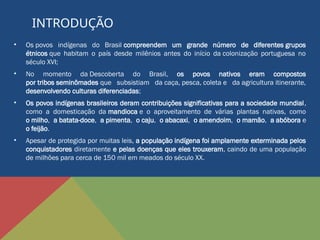 povos indígenas do Brasil - slide feito pelo professor Daniel Andrade ...