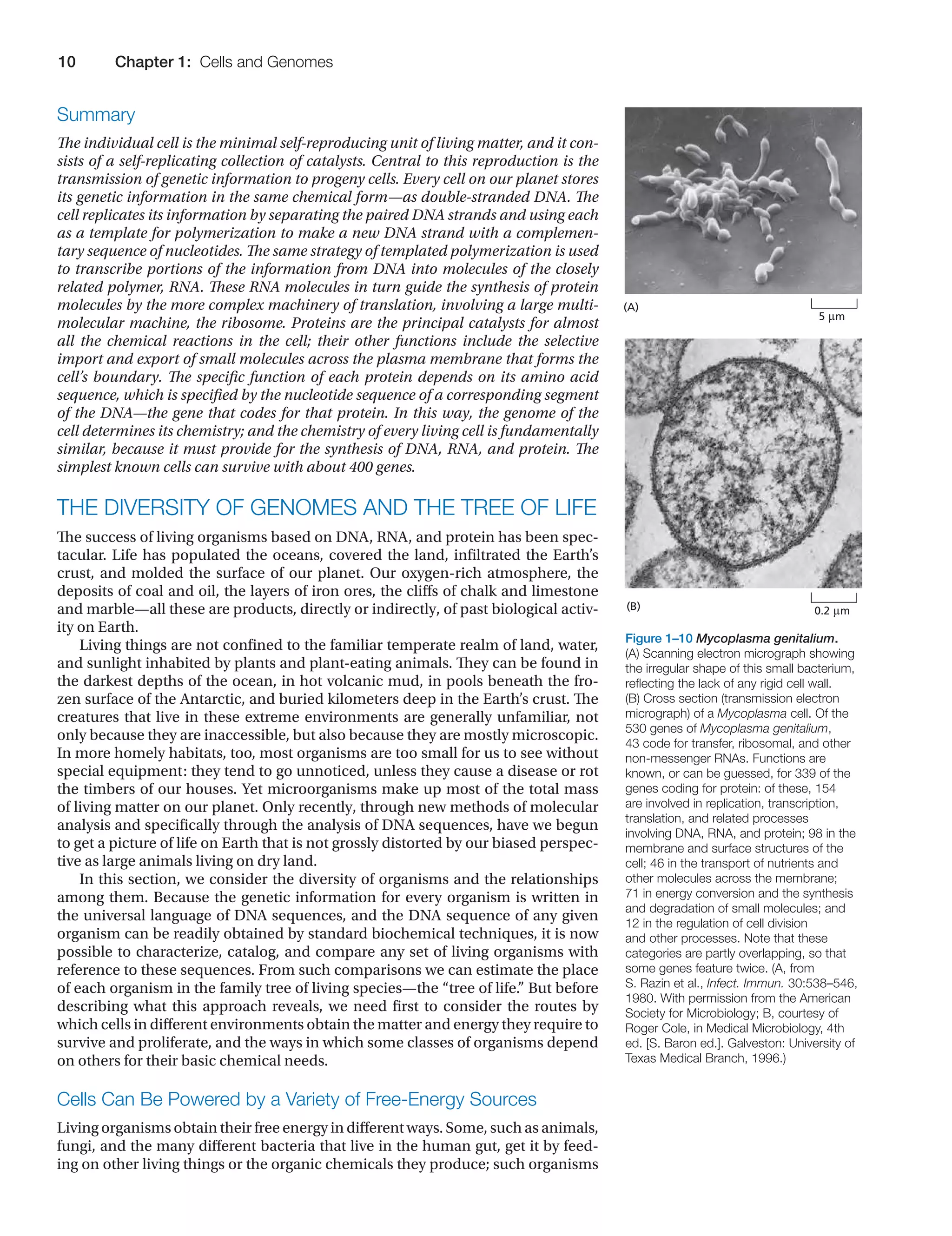 Molecular.biology.of.the.cell.alberts.6th.ed