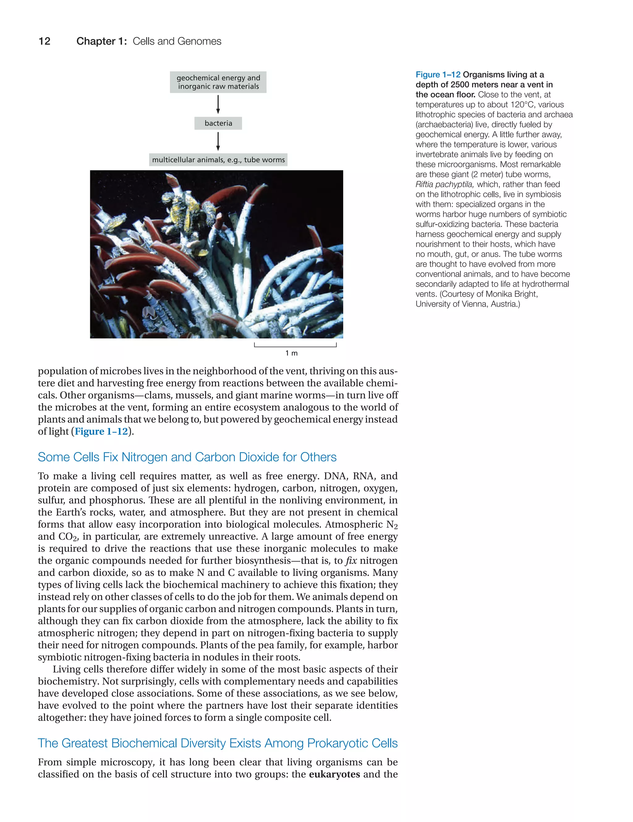 Molecular.biology.of.the.cell.alberts.6th.ed