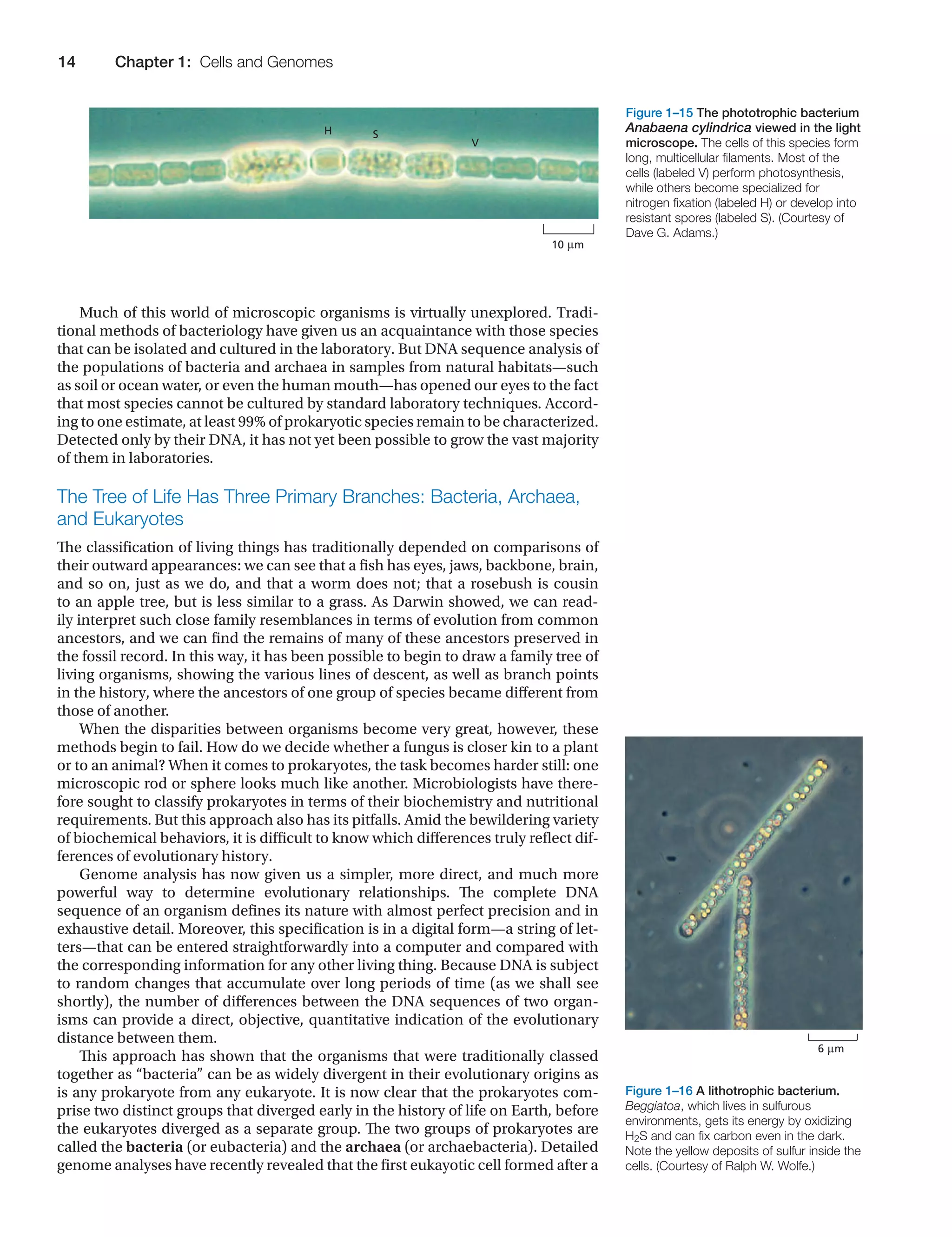 Molecular.biology.of.the.cell.alberts.6th.ed
