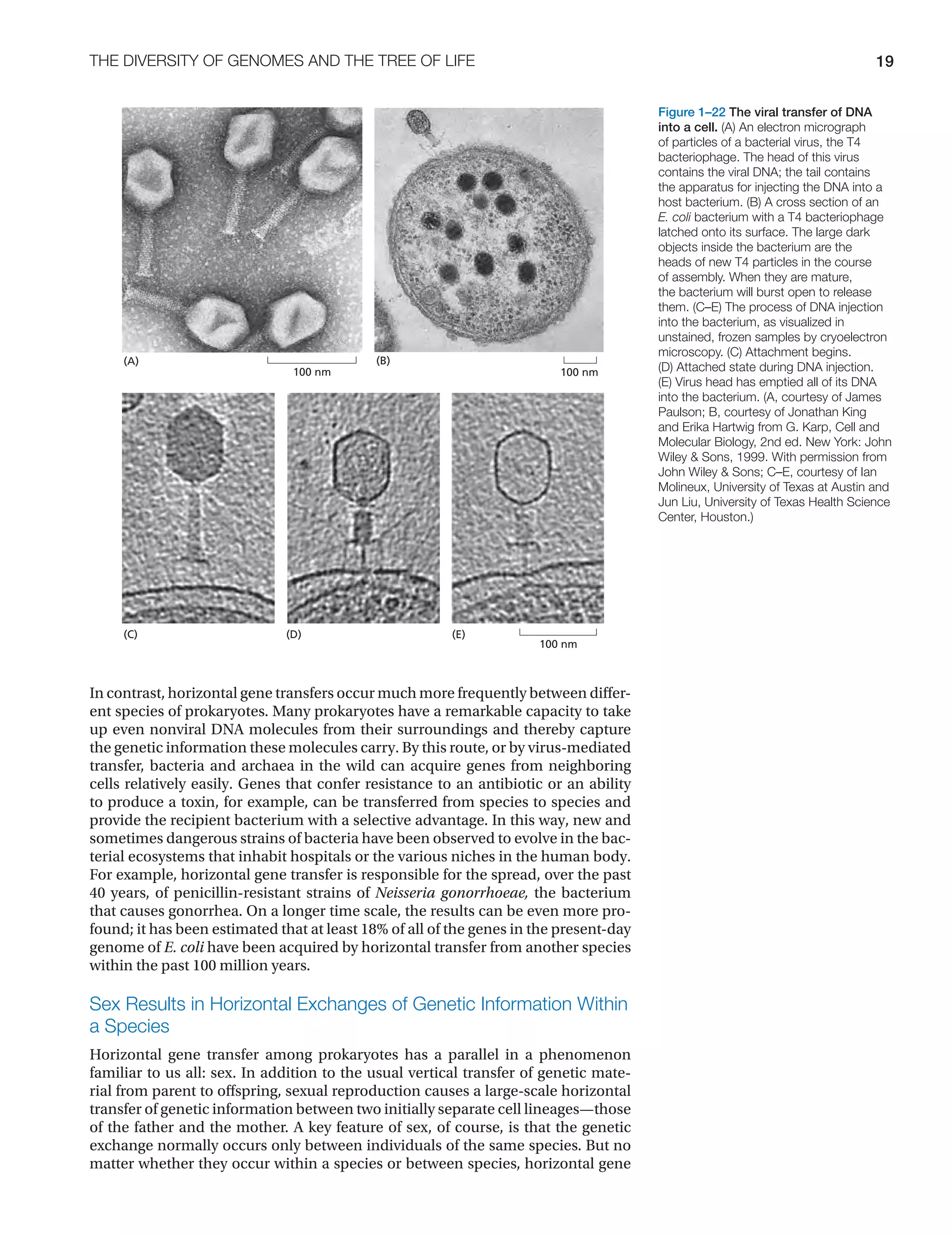 Molecular.biology.of.the.cell.alberts.6th.ed