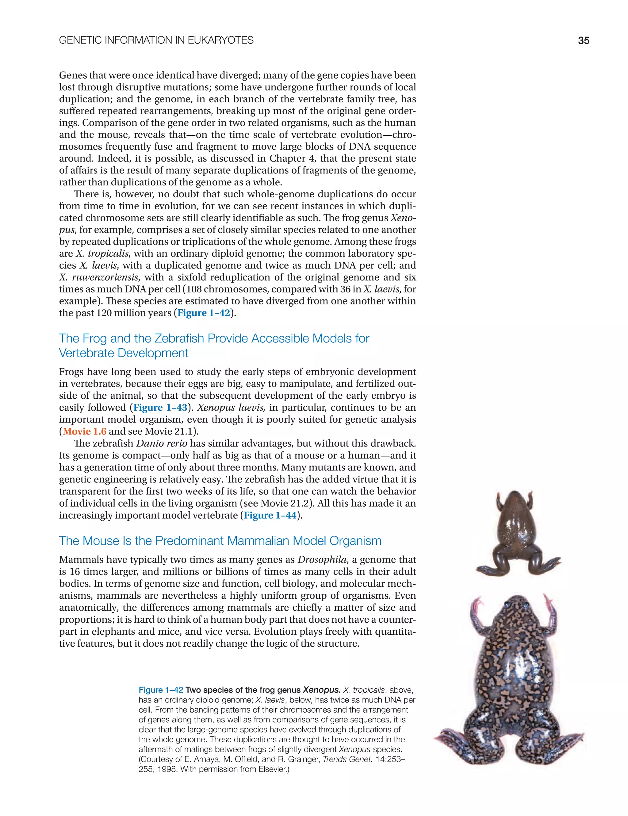 Molecular.biology.of.the.cell.alberts.6th.ed