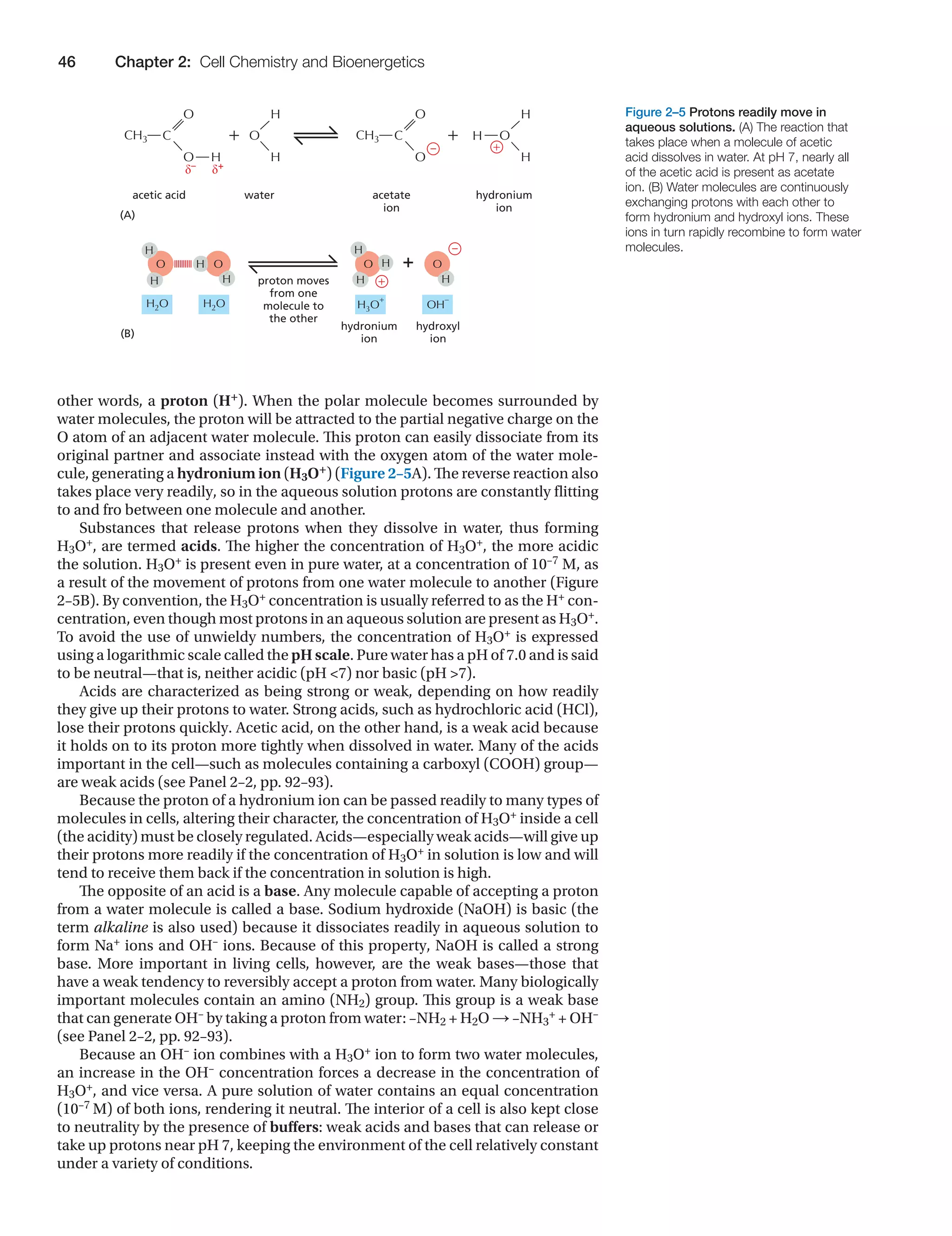 Molecular.biology.of.the.cell.alberts.6th.ed