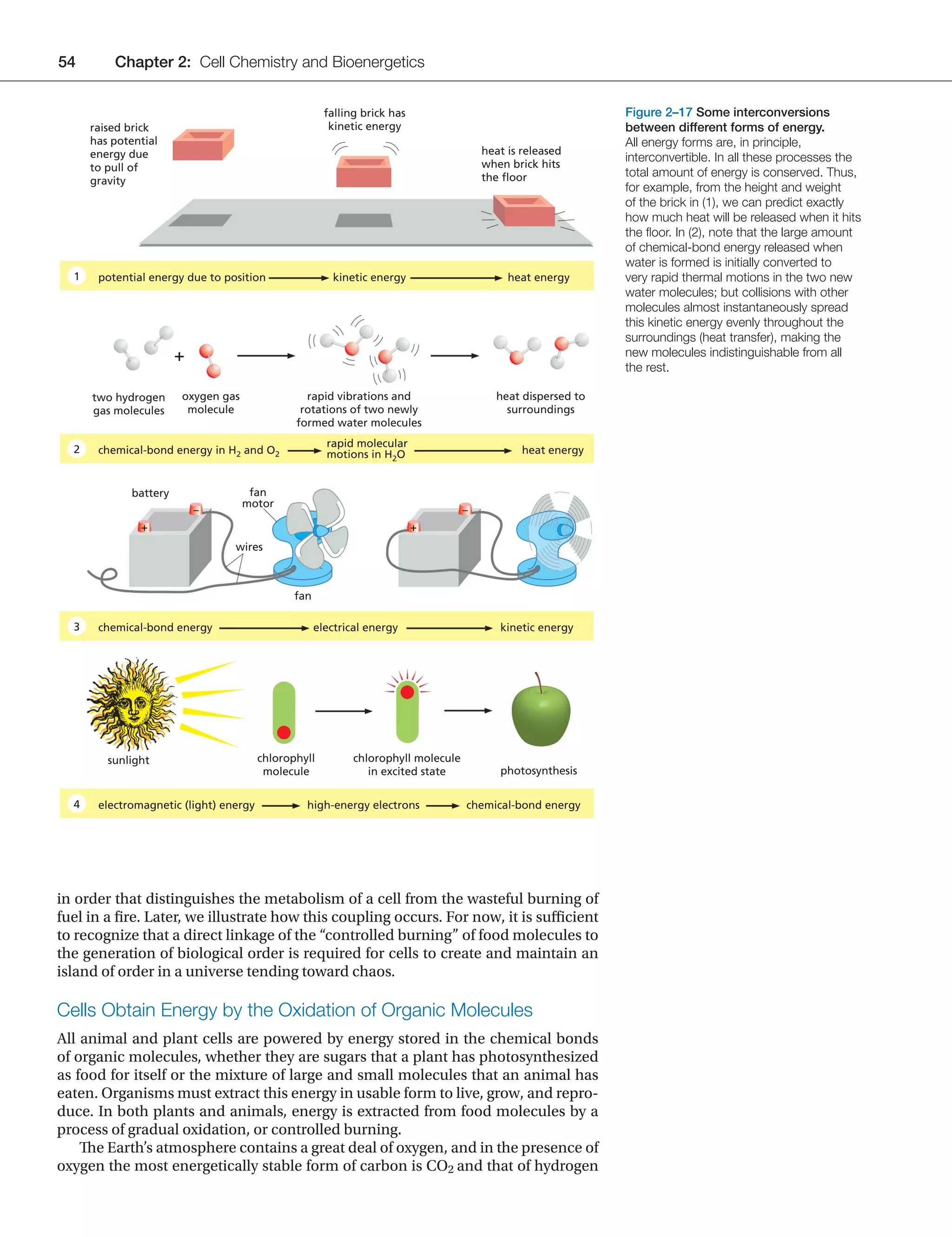 Molecular.biology.of.the.cell.alberts.6th.ed