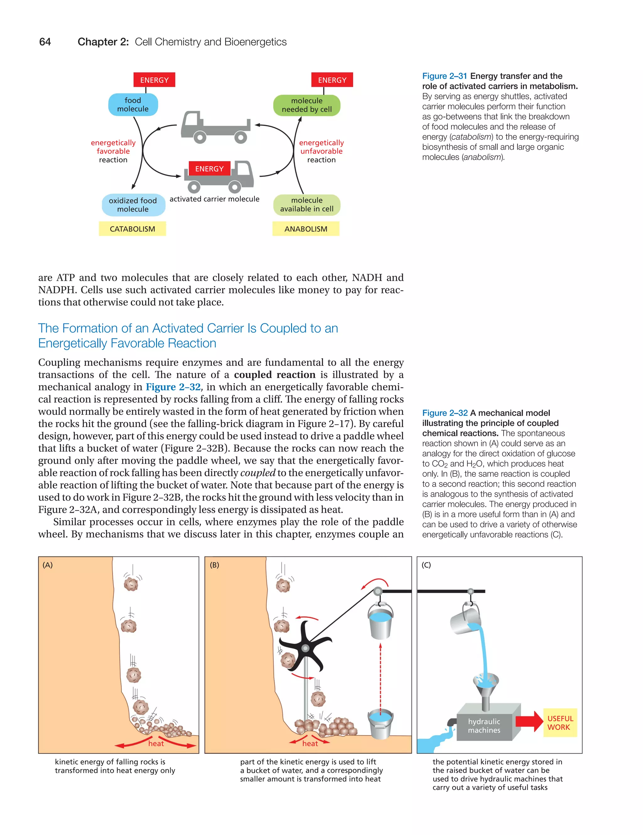 Molecular.biology.of.the.cell.alberts.6th.ed