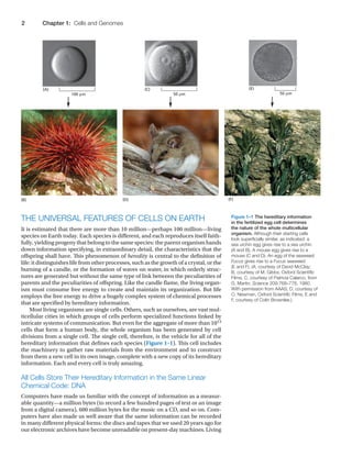 Molecular.biology.of.the.cell.alberts.6th.ed