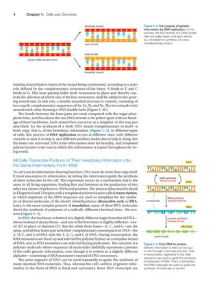 Molecular.biology.of.the.cell.alberts.6th.ed
