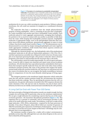 Molecular.biology.of.the.cell.alberts.6th.ed