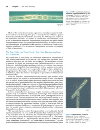 Molecular.biology.of.the.cell.alberts.6th.ed