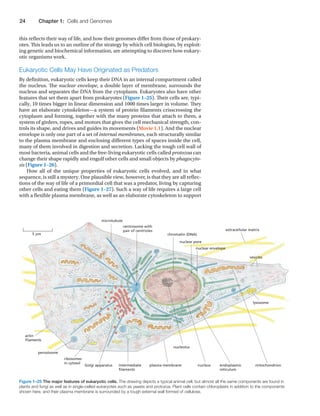 Molecular.biology.of.the.cell.alberts.6th.ed