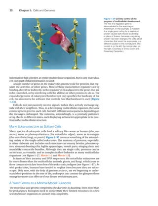Molecular.biology.of.the.cell.alberts.6th.ed