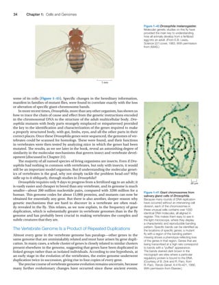 Molecular.biology.of.the.cell.alberts.6th.ed