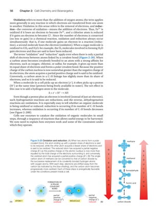 Molecular.biology.of.the.cell.alberts.6th.ed