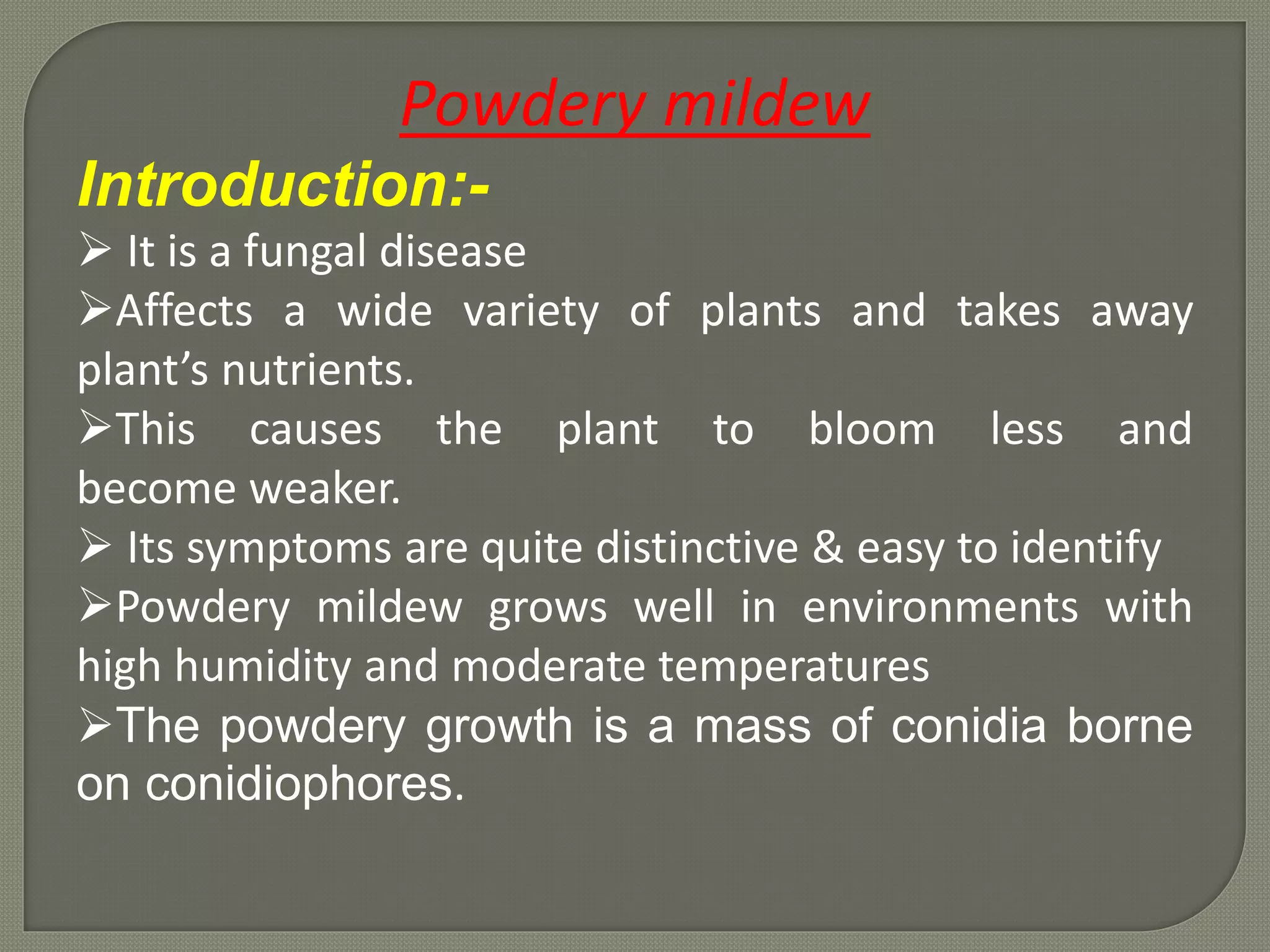 Powdery mildew | PPTX