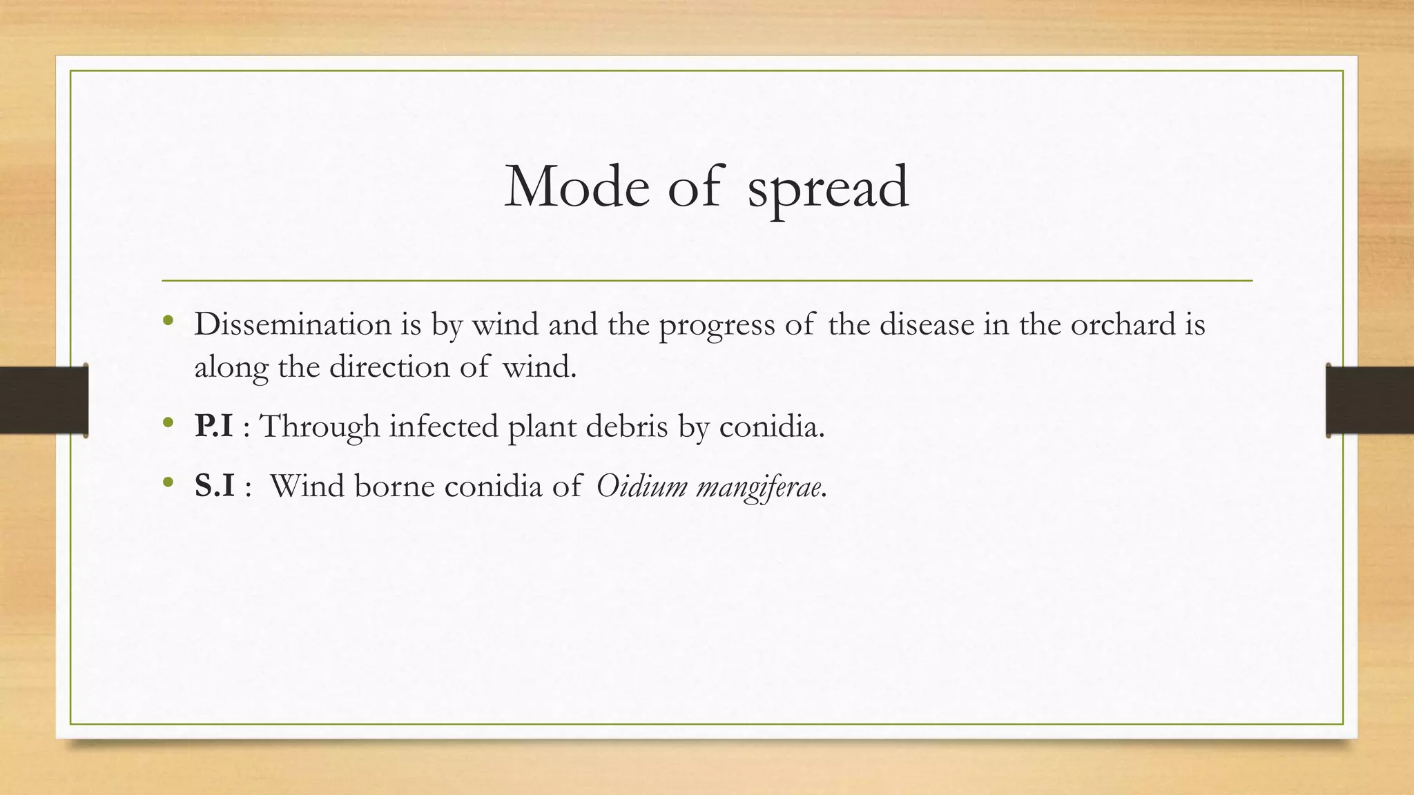 Powdery mildew of mango | PPTX