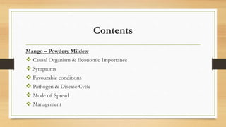 Powdery mildew of mango | PPTX