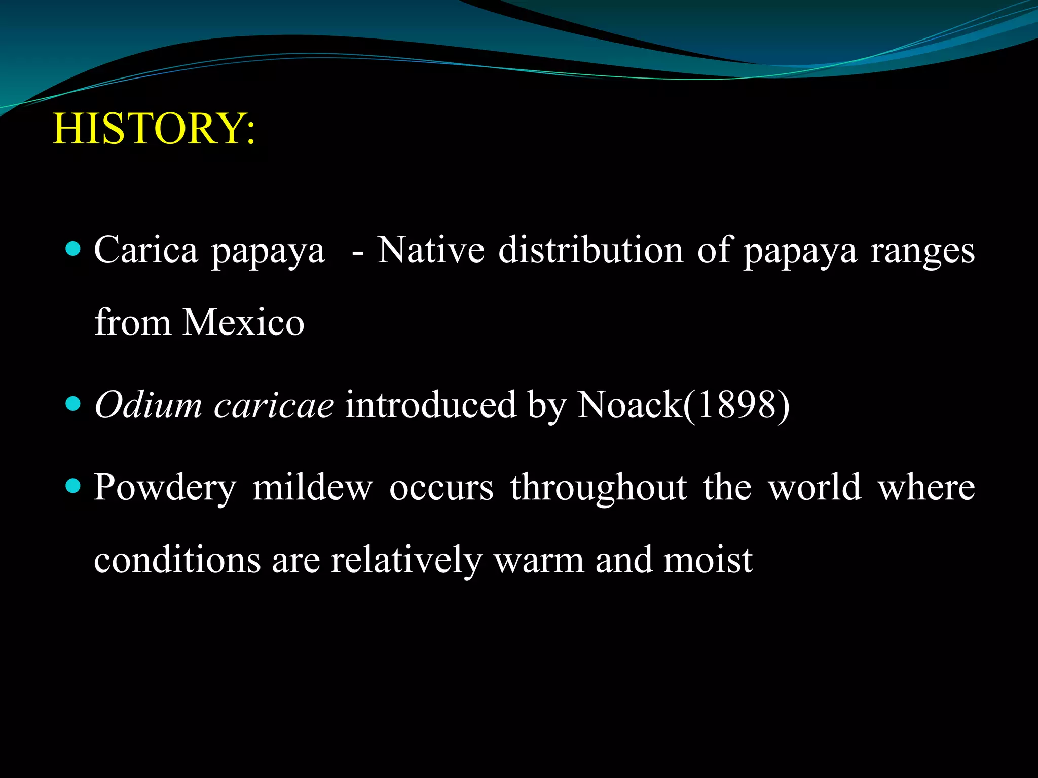 Powdery mildew of papaya | PPTX