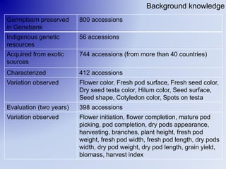 Powdery mildew resisatnt peas | PPTX