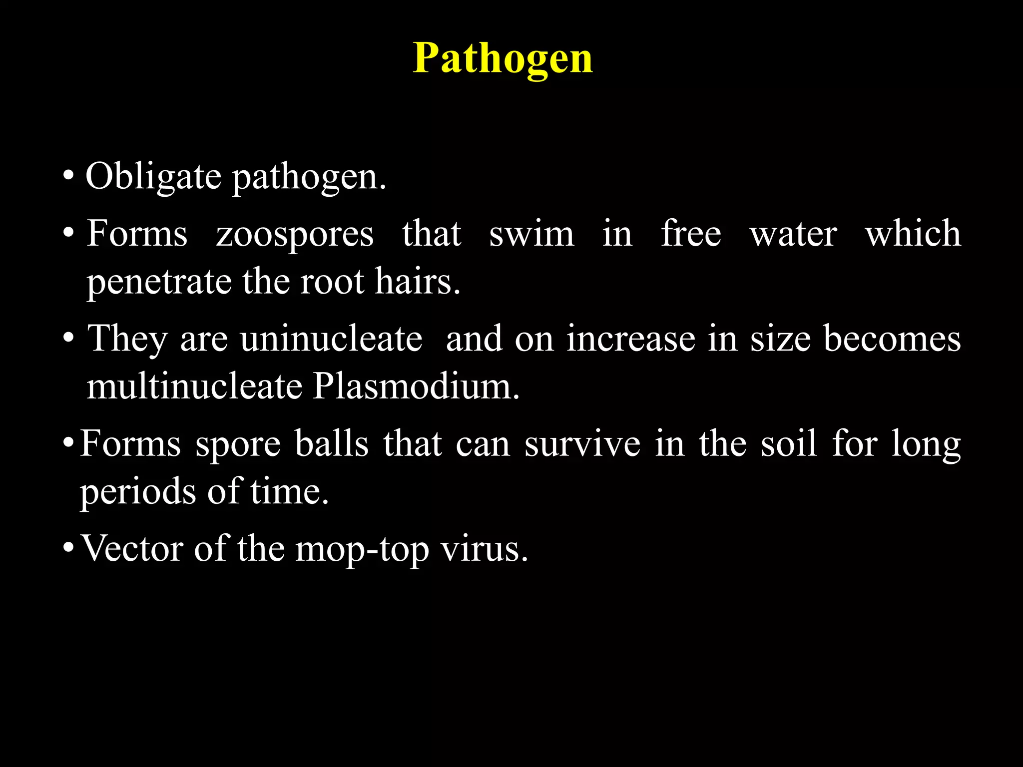 Powdery scab of potato | PPTX