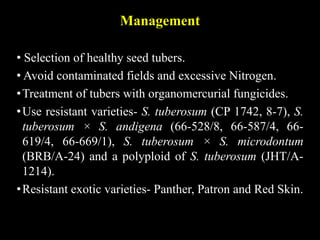 Powdery scab of potato | PPTX