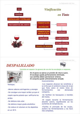 Poweer de vinooo | PDF