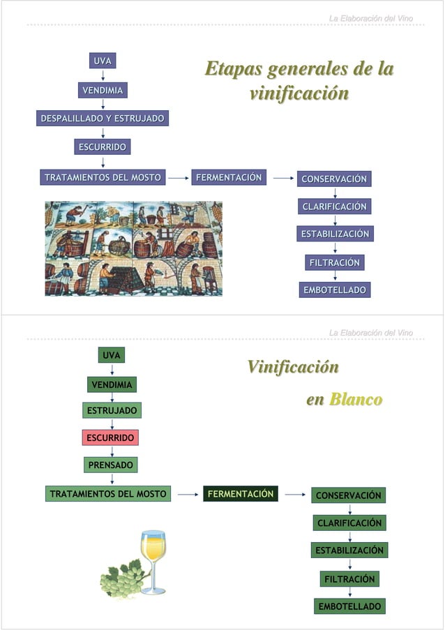 Poweer de vinooo | PDF