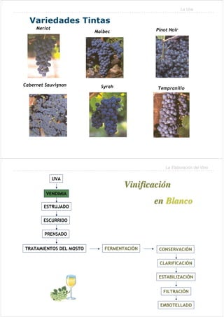 Poweer de vinooo | PDF