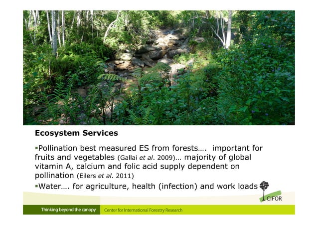 Forests, Food Security and Nutrition in Africa | PDF | Nutrition ...