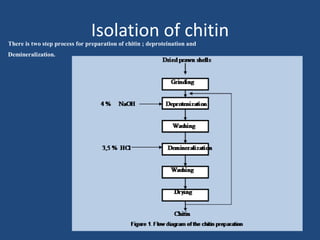 pilot production of chitin | PPT