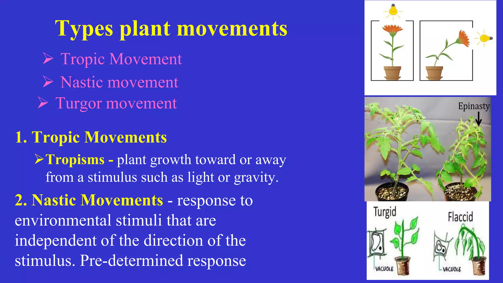 Powepoint-plant physiology part 2.pdf