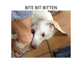 Powe point de verbos | PPTX