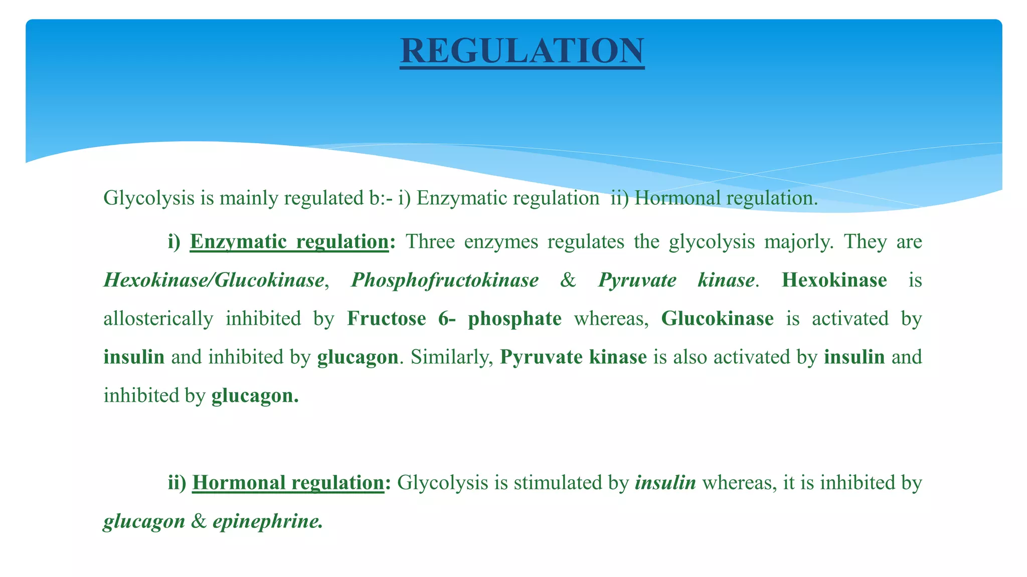 POWEPOINT PRESENTATION ON GLYCOLYSIS.pptx
