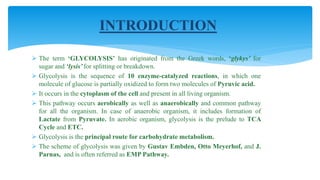 POWEPOINT PRESENTATION ON GLYCOLYSIS.pptx