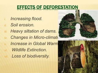 Deforestation | PPTX