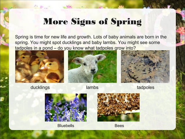 Spring | PPT | National & Civic Holidays | Holidays