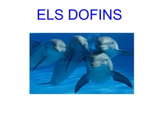 ELS DOFINS | PPT