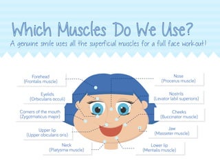 The Power of Smiling | PDF