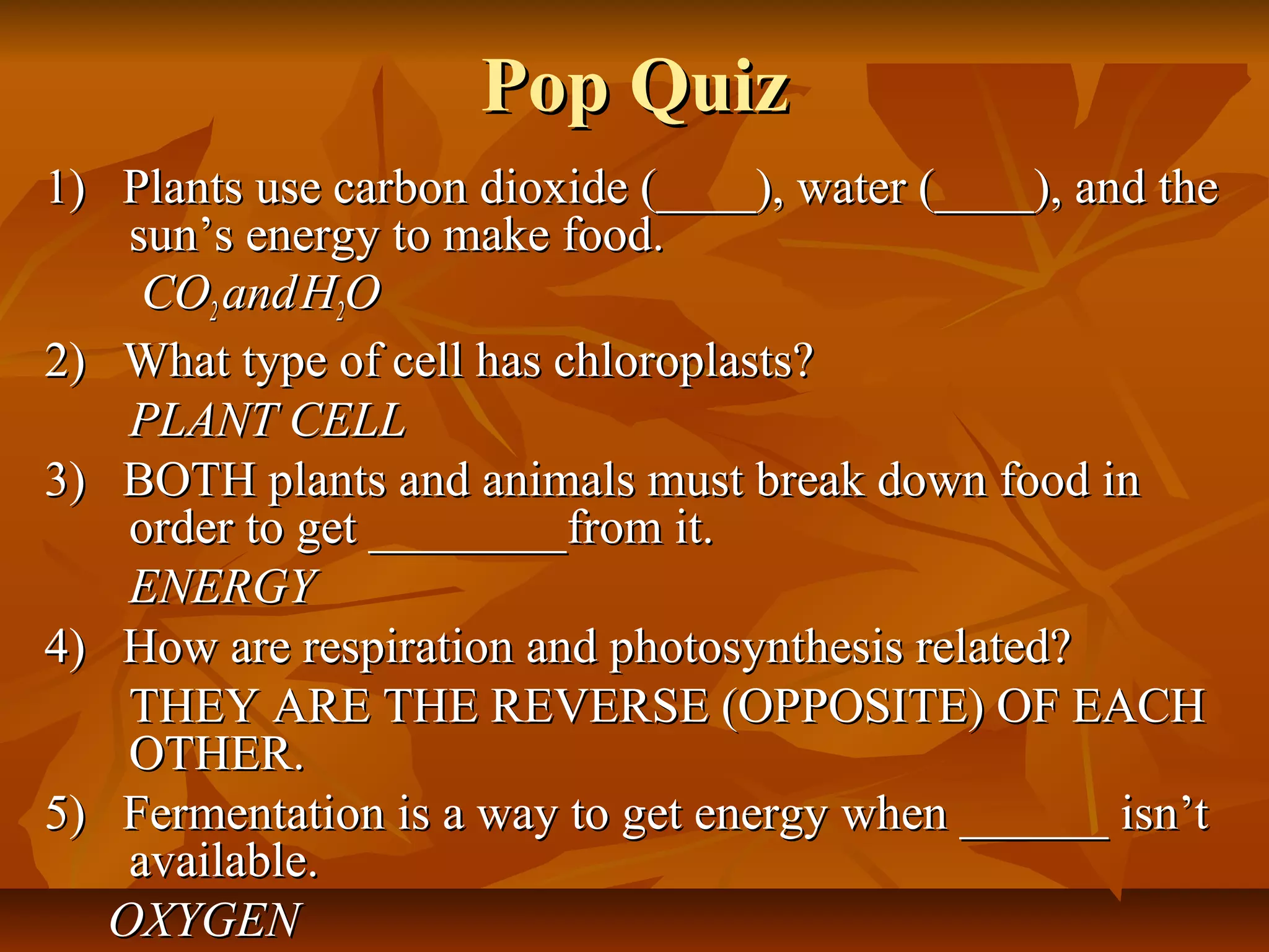 Power point-51-cell-energy-photosynthesis-respiration-1193616844870555 ...