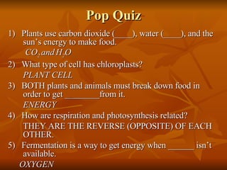 Power Point 5.1: Cell Energy (Photosynthesis & Respiration) | PPT