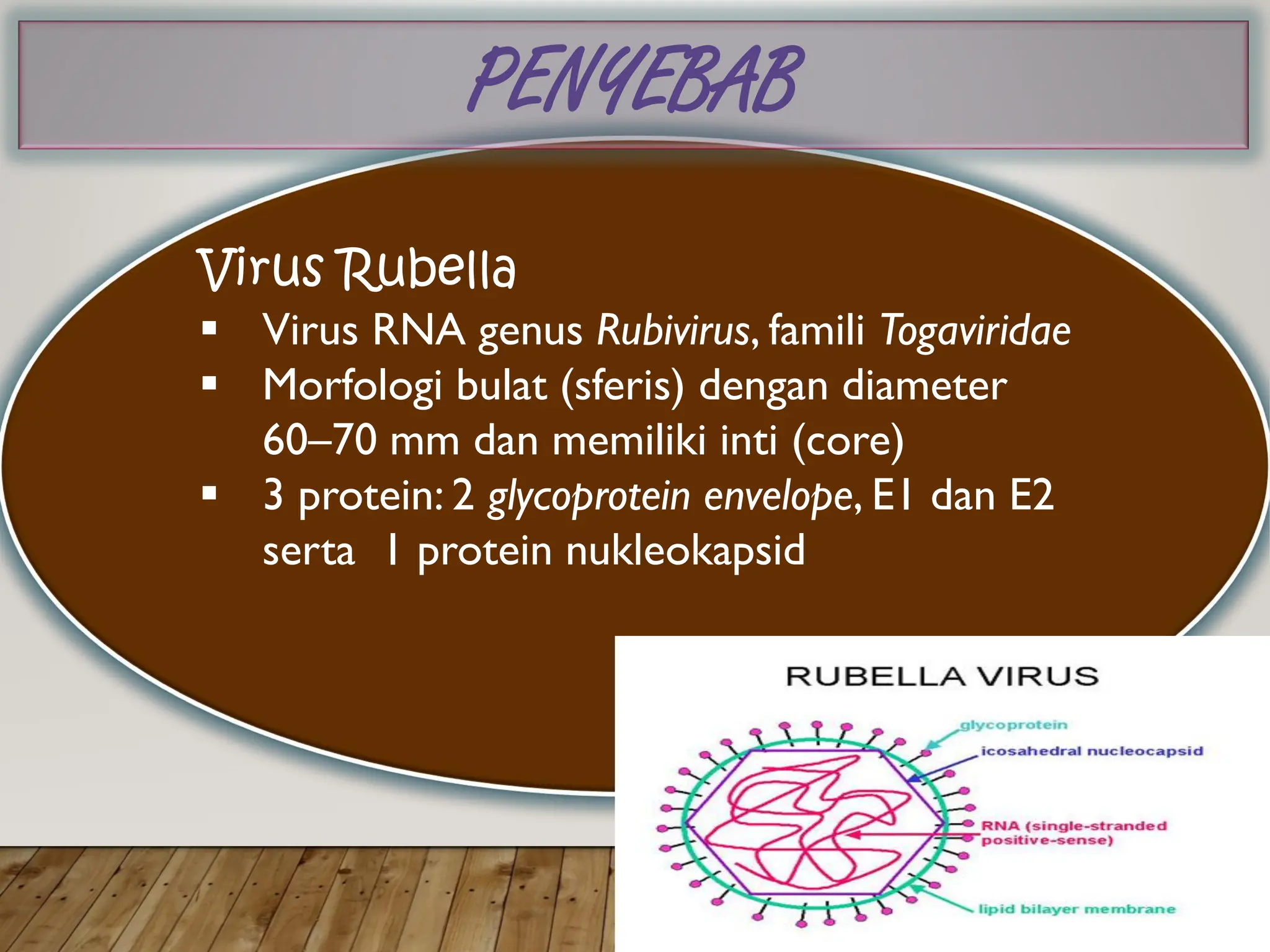 Edukasi tentang power point Campak rubella_ppt | PDF
